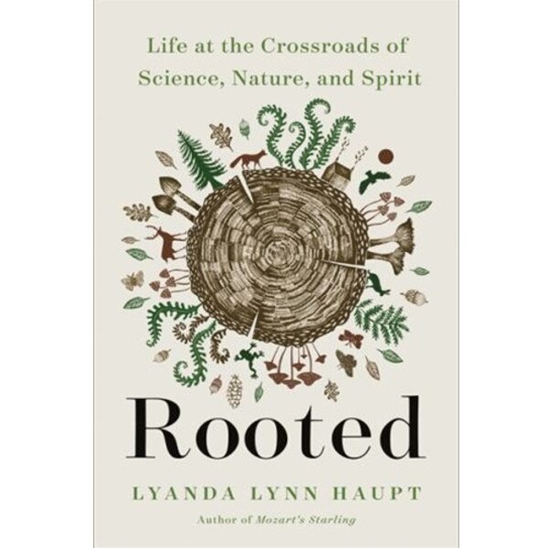 Rooted | UC San Diego Bookstore