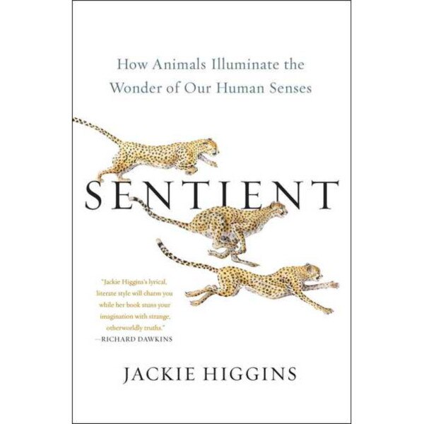 Sentient | UC San Diego Bookstore