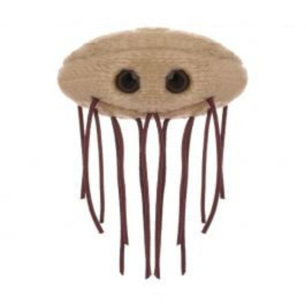 E. Coli Plush
