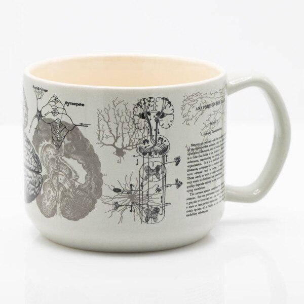 Brain Anatomy: 15 oz Ceramic Mug