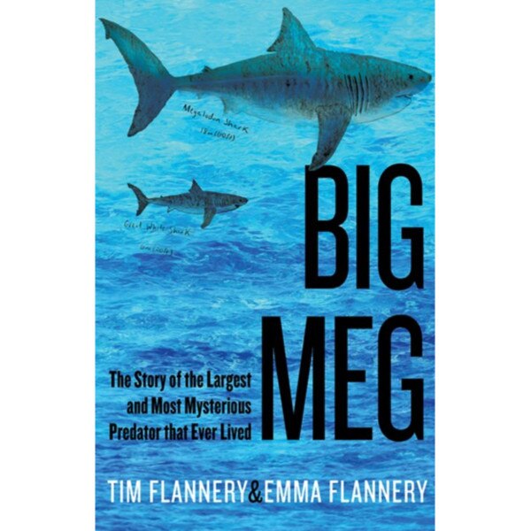 Big Meg : The Story of the Largest and Most Mysterious Predator that ...