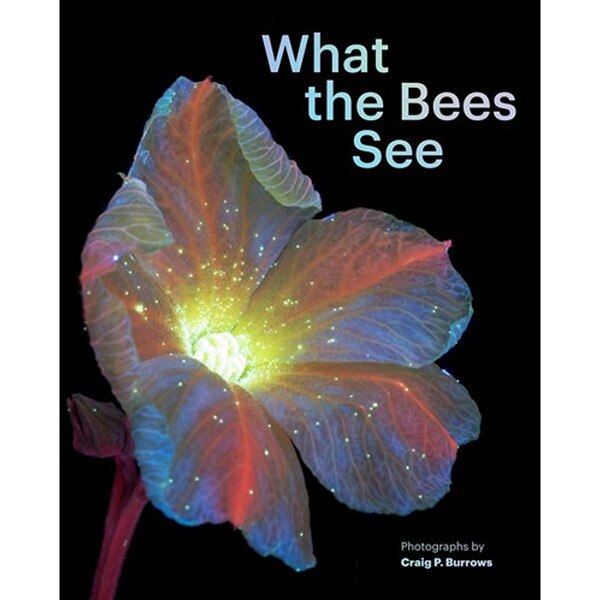 What the Bees See : A Honeybee's Eye View of the World
