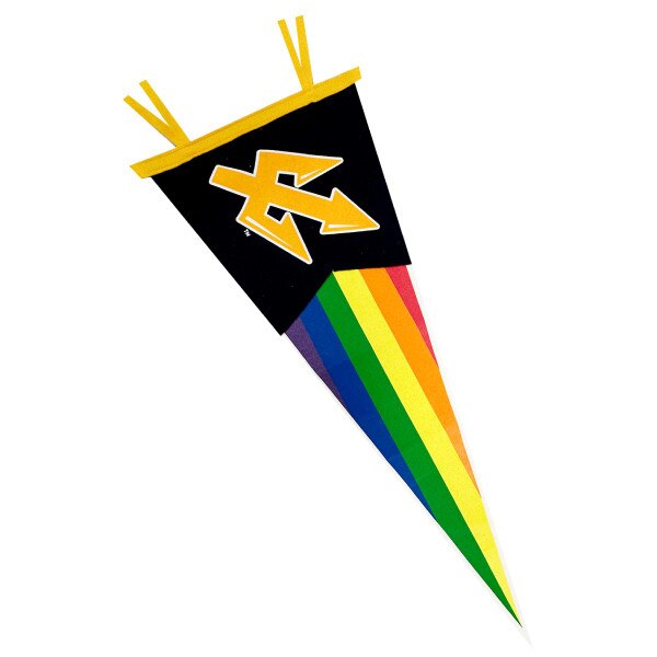 12" x 30 Trident Pride Pennant by Collegiate Pacific | UC San Diego ...